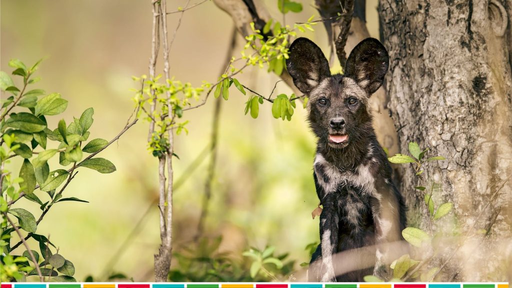 Travel PR News | Tag | Emma Borg